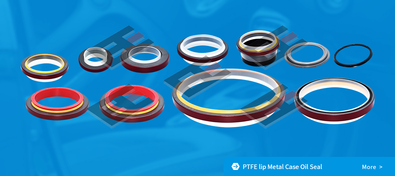Anhui Sheen Fluoroplastic Seals Co.,Ltd
